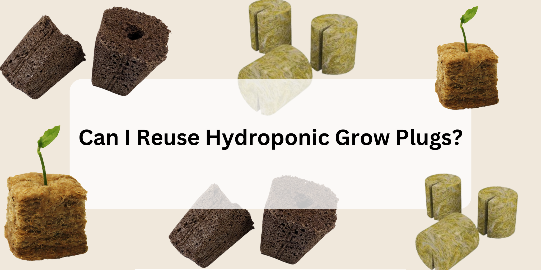 Can I Reuse Hydroponic Grow Plugs? – Hope Innovations