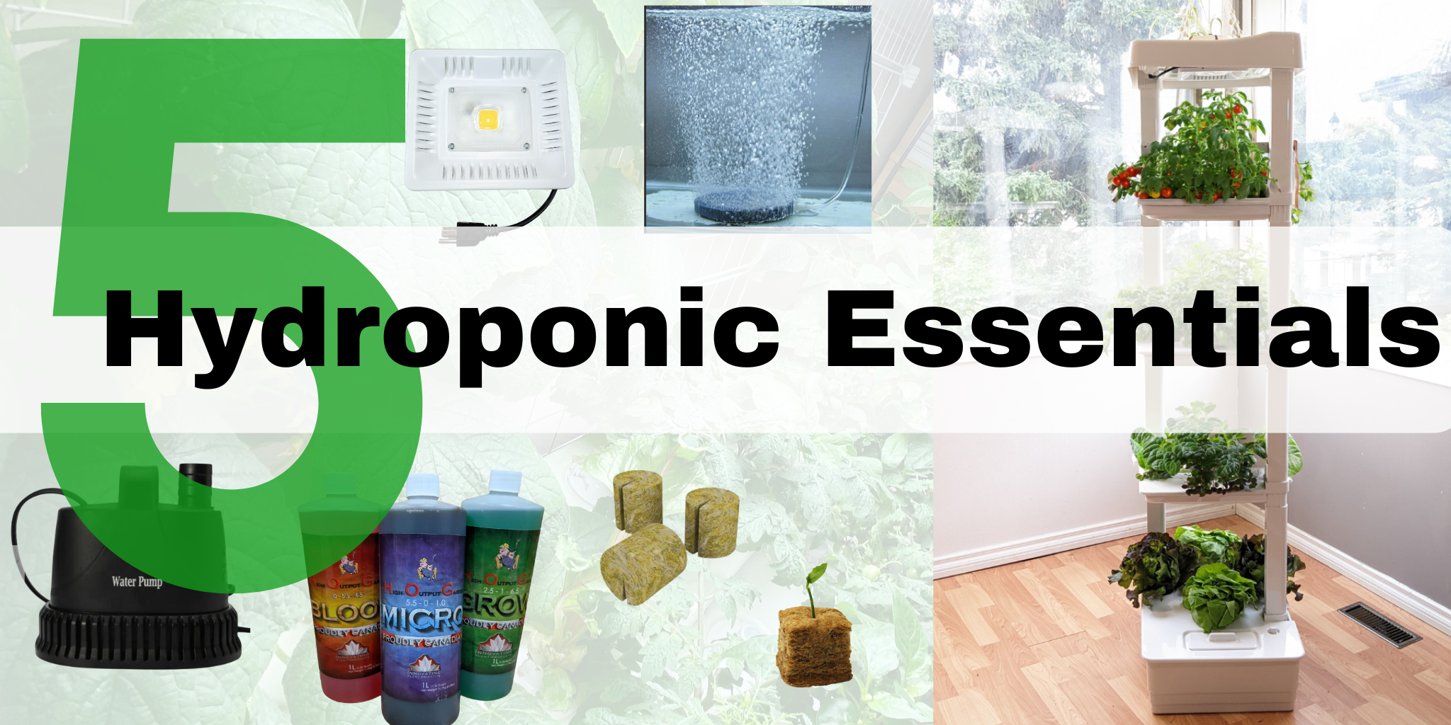Hydroponics 101: The Five Essential Components Every System Needs ...
