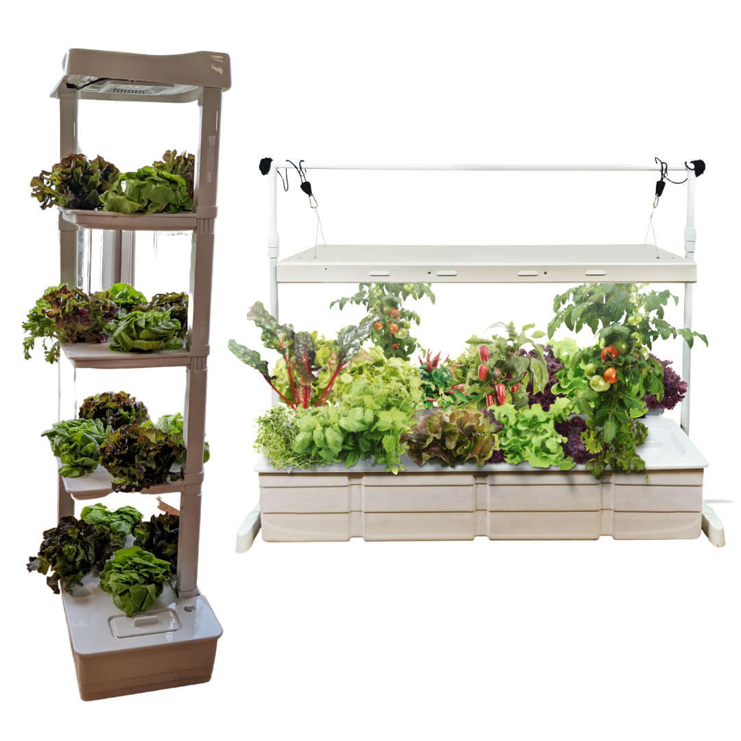 Hydroponic Systems – Hope Innovations