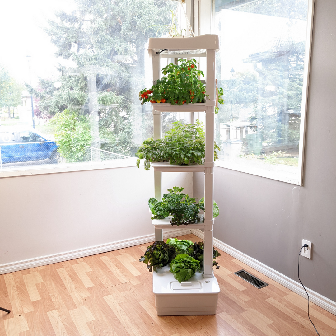 Pro Eden Tower – Hope Innovations