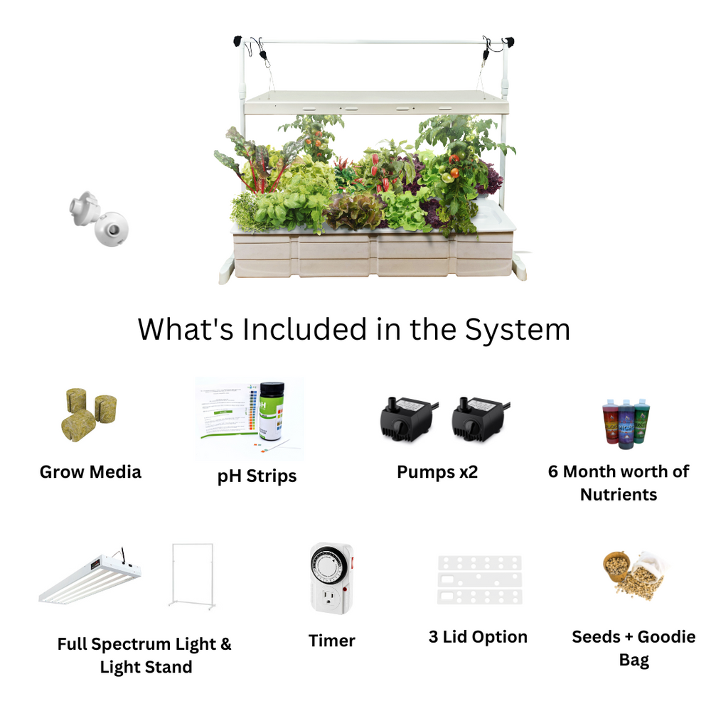 Hydroponic Systems – Hope Innovations